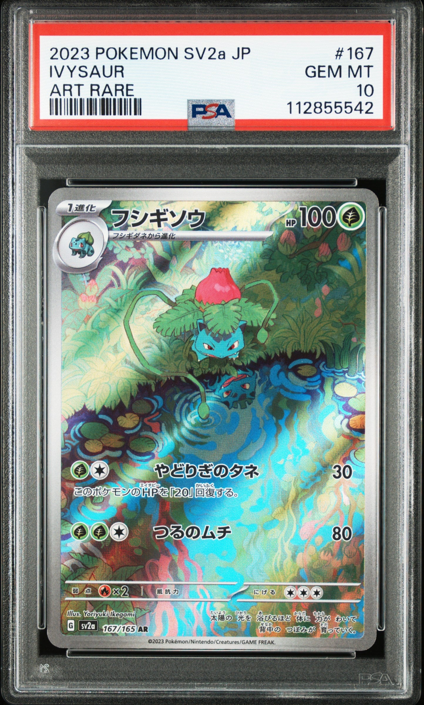 IVYSAUR #167 PSA 10 POKEMON JAPANESE Sv2a-POKEMON 151 – Psydeck